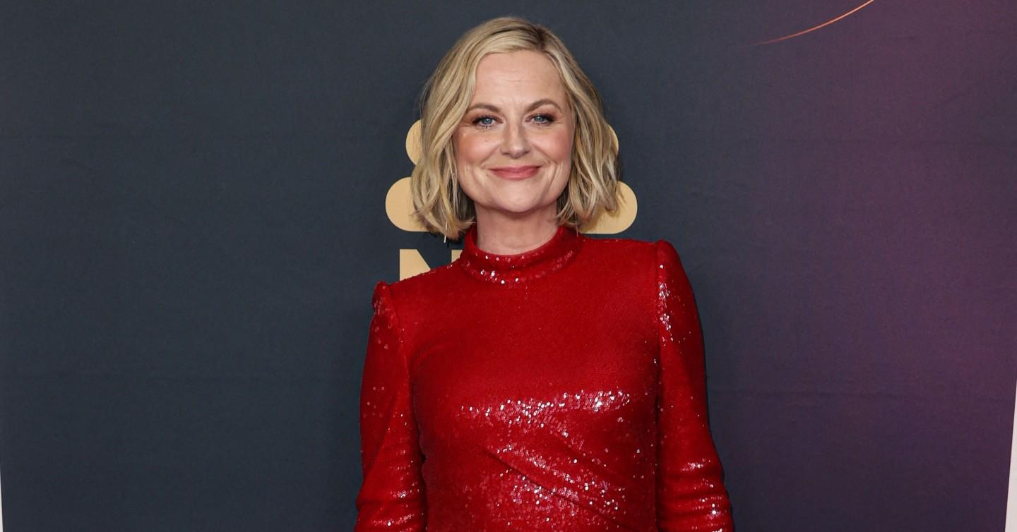 Amy Poehler Reveals Lesson She's Learned About Raising Teenage Sons