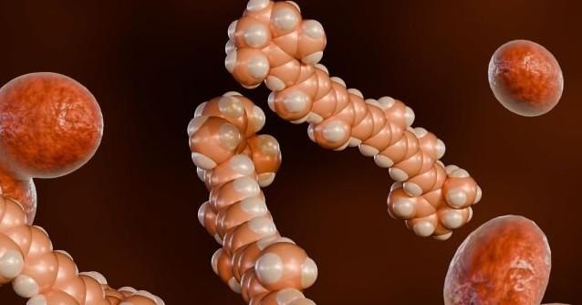 Cardiogen Peptide: A Comprehensive Overview