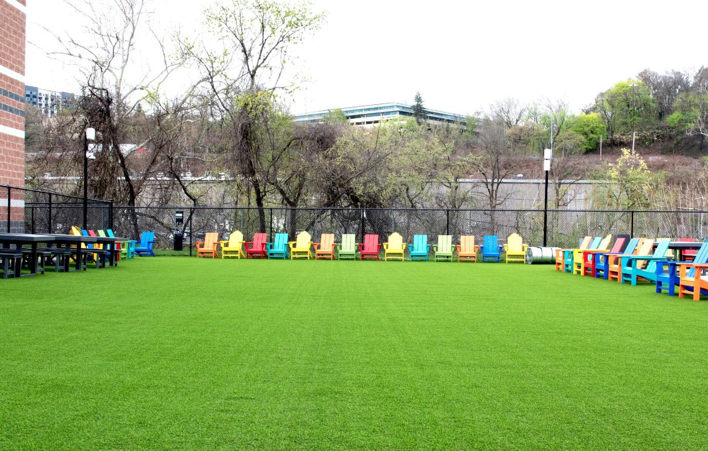 Bark Social: Premium Social Club For Dogs & Dog Lovers