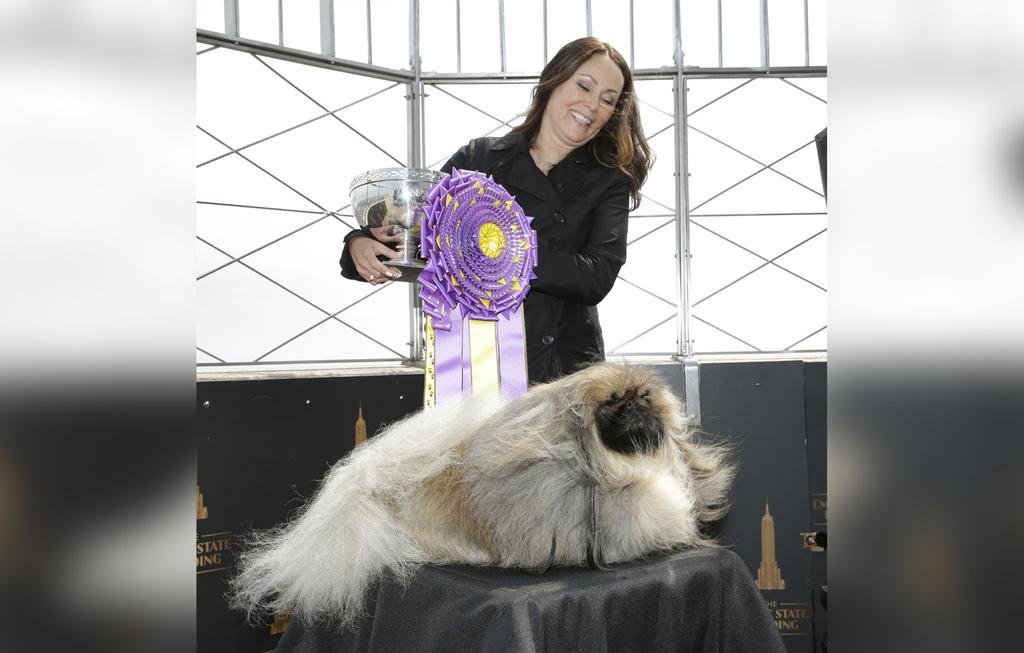 Westminster Winner Wasabi The Pekingese Visits Empire State Building ...