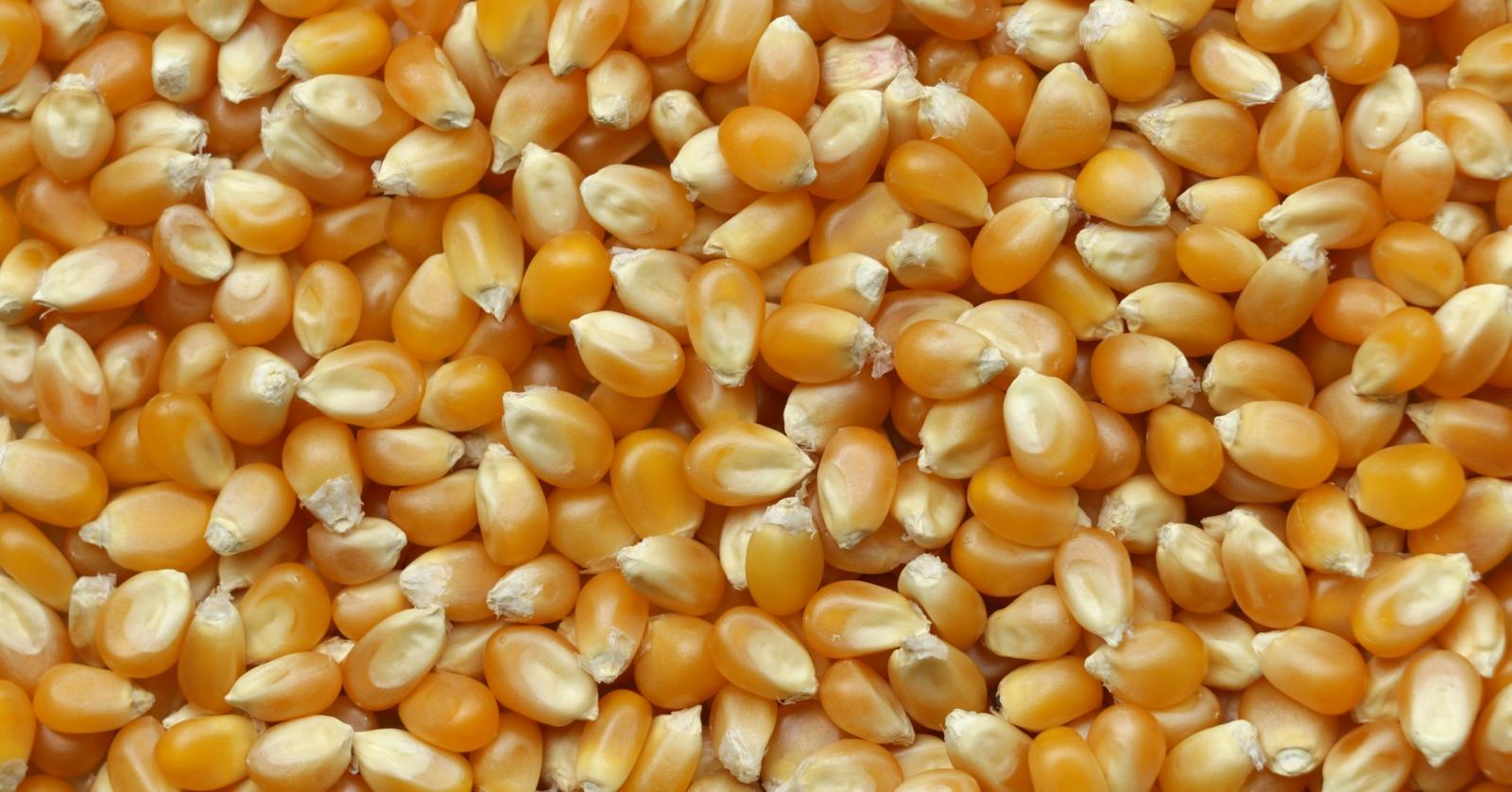 Why The Innovative Popcorn Diet Can Help You Lose Weight