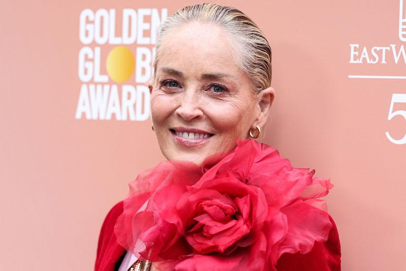 Sharon Stone Declares She 'Will Continue to Make A Life' In Hollywood