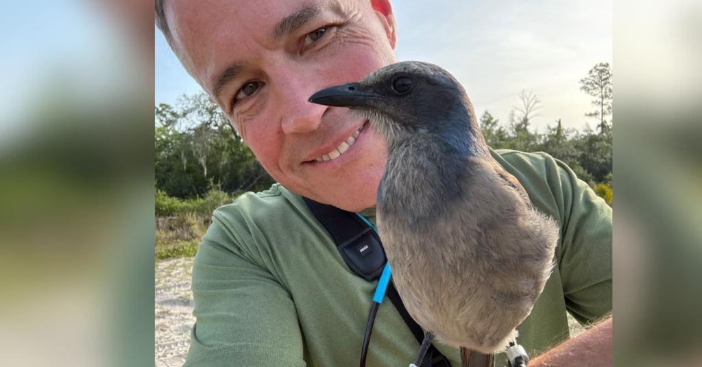 Jeff Corwin: From Wildlife Champion To SOFO Honoree